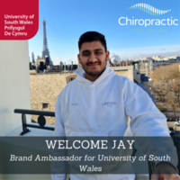 Chiropractic Jobs Online